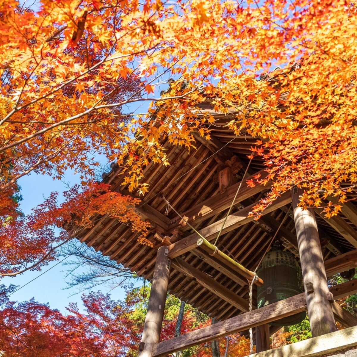 [Official] Sakaide City, Kagawa Tourism & Travel Guide | Odekake ...