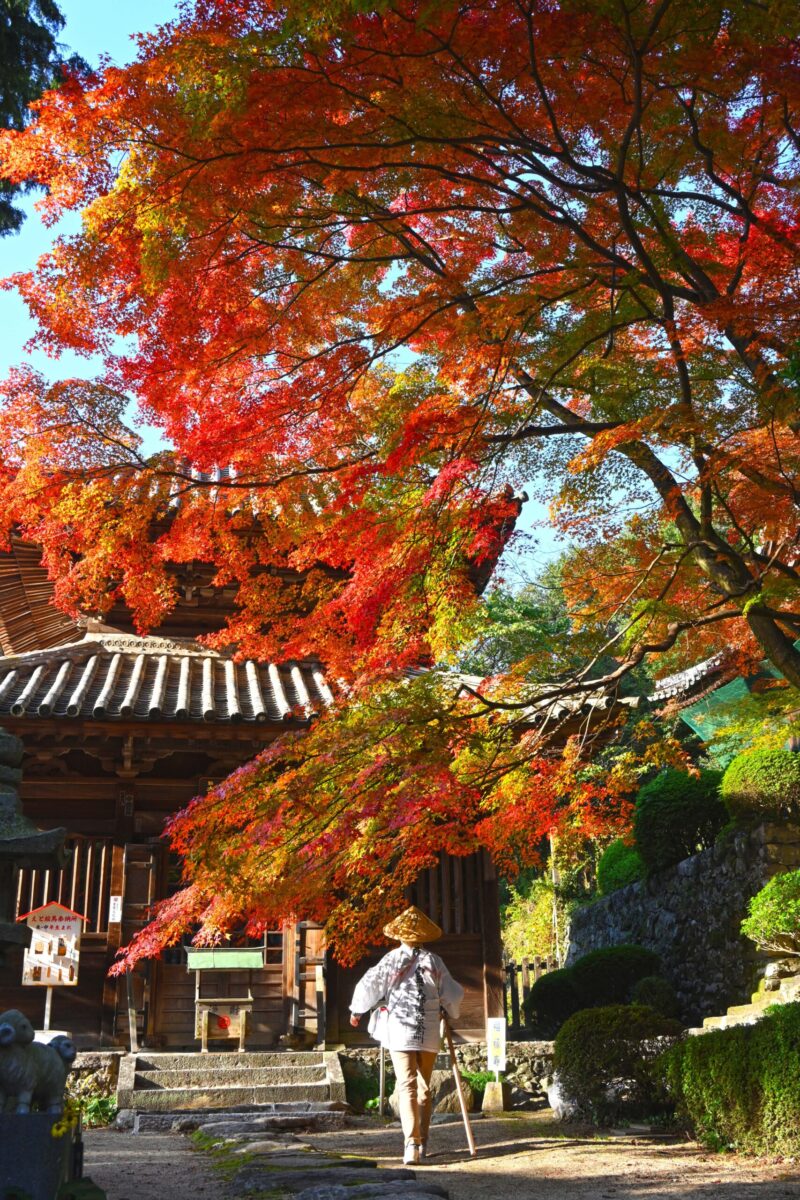 [Official] Sakaide City, Kagawa Tourism & Travel Guide | Odekake ...