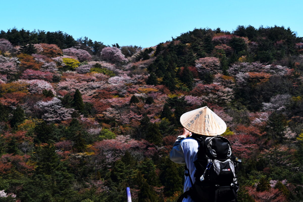 [Official] Sakaide City, Kagawa Tourism & Travel Guide | Odekake ...